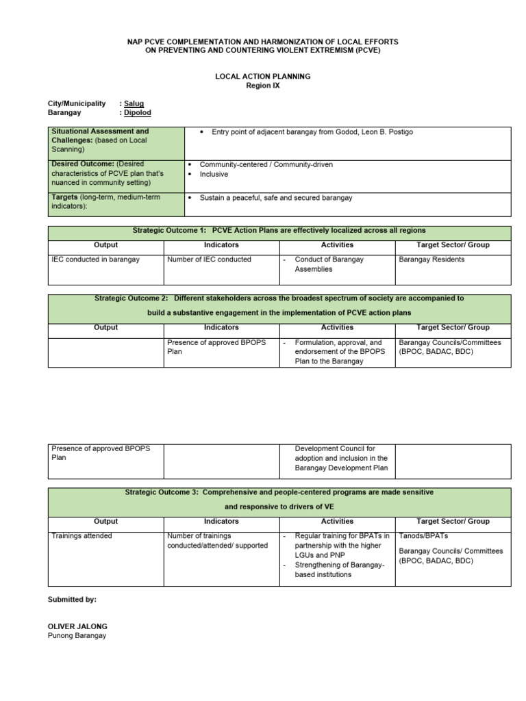 PCVE-Action-Plan | PDF | Peacebuilding | Civic Engagement