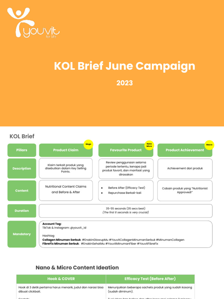 KOL Brief June Campaign - BintanGO | PDF