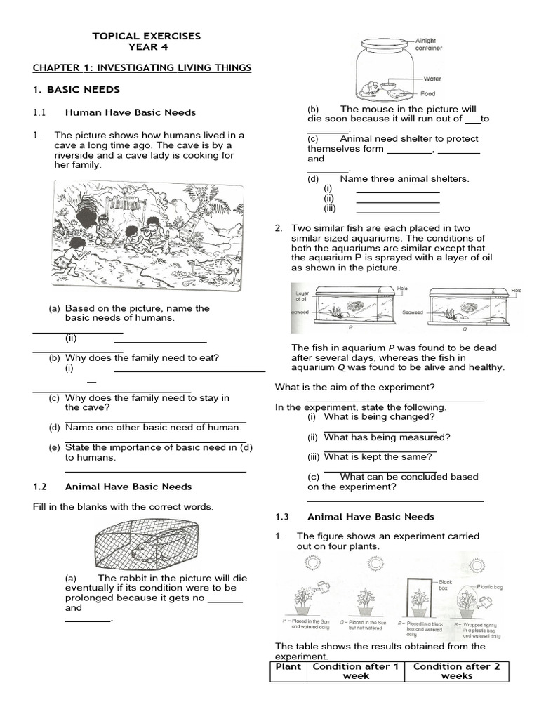 Revision Science Year 4 | PDF | Excretion | Exhalation