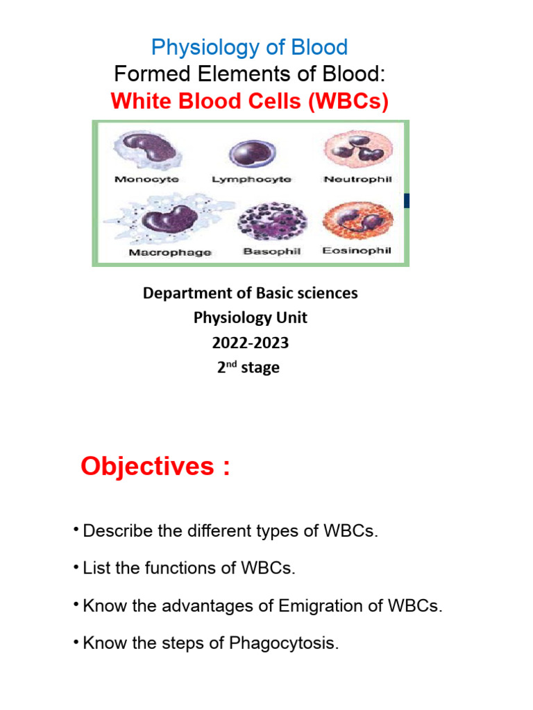 Formed Elements of Blood WBCs | PDF | White Blood Cell | Granulocyte