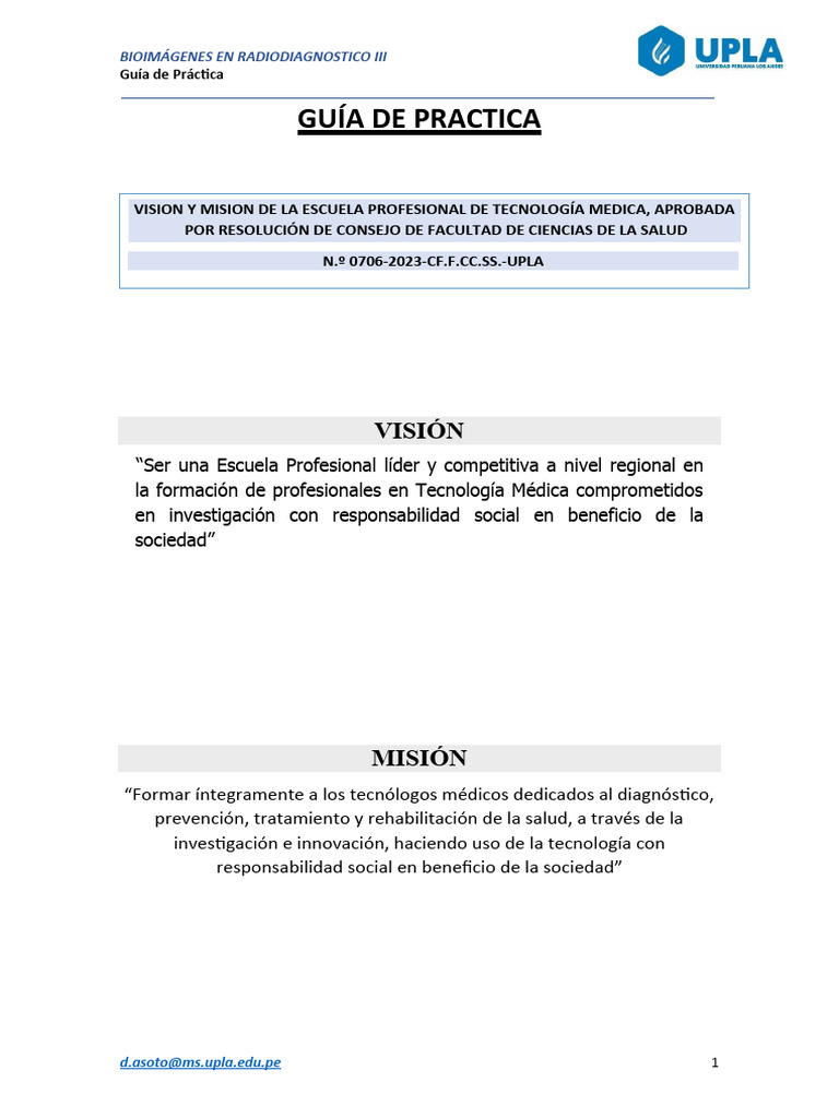 Guía de Practica - R | PDF | Stent | Angiografía