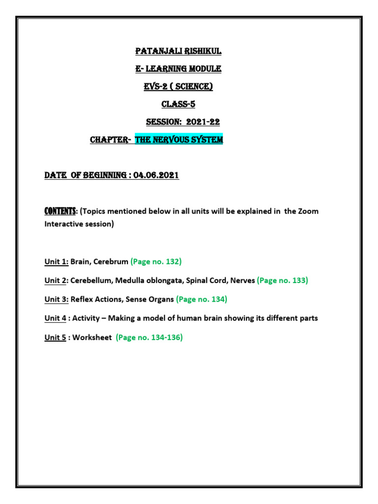 Nervous System, Class 5 - 2 | PDF | Brain | Brainstem