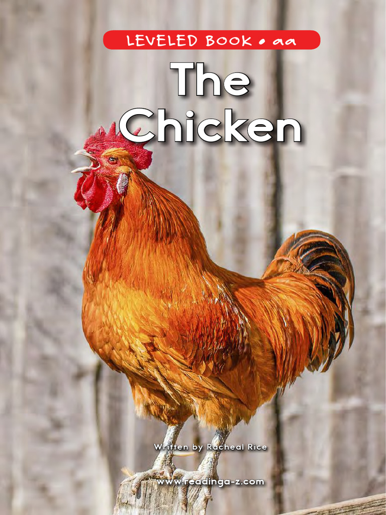 Parts of a Chicken: Level aa Book | PDF | Chicken | Aviculture