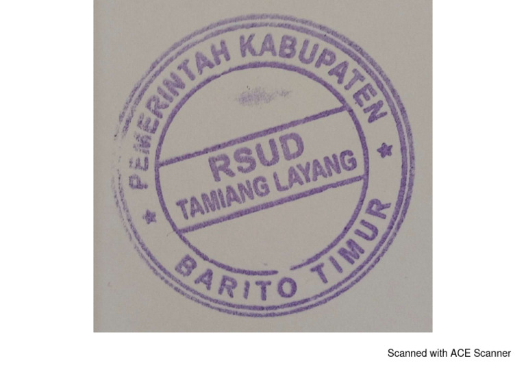 ACE Scanner - 2024 - 05 - 04 | PDF