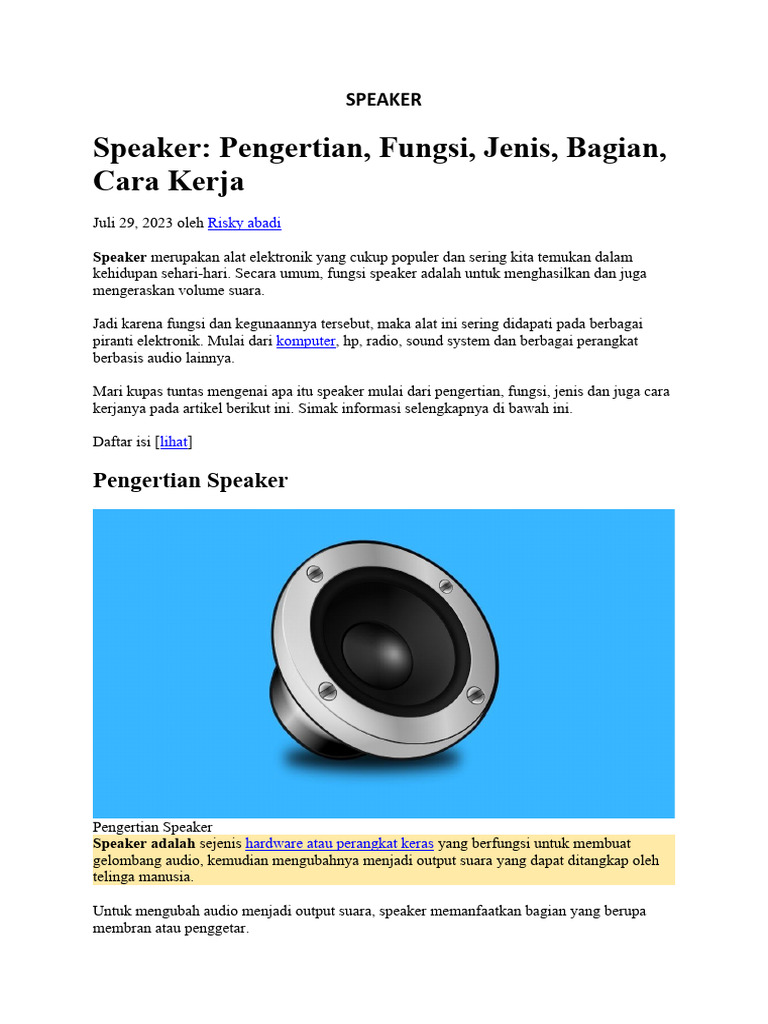 SPEAKER | PDF