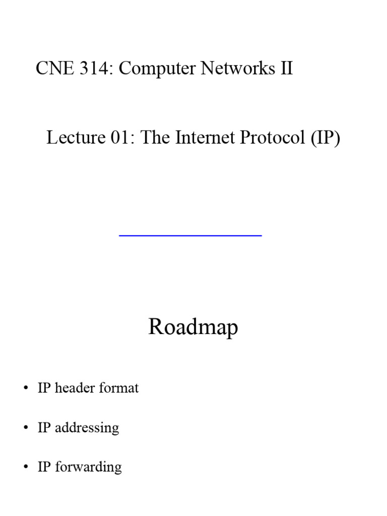 01 Ip Basics Pdf Ip Address Internet Protocols