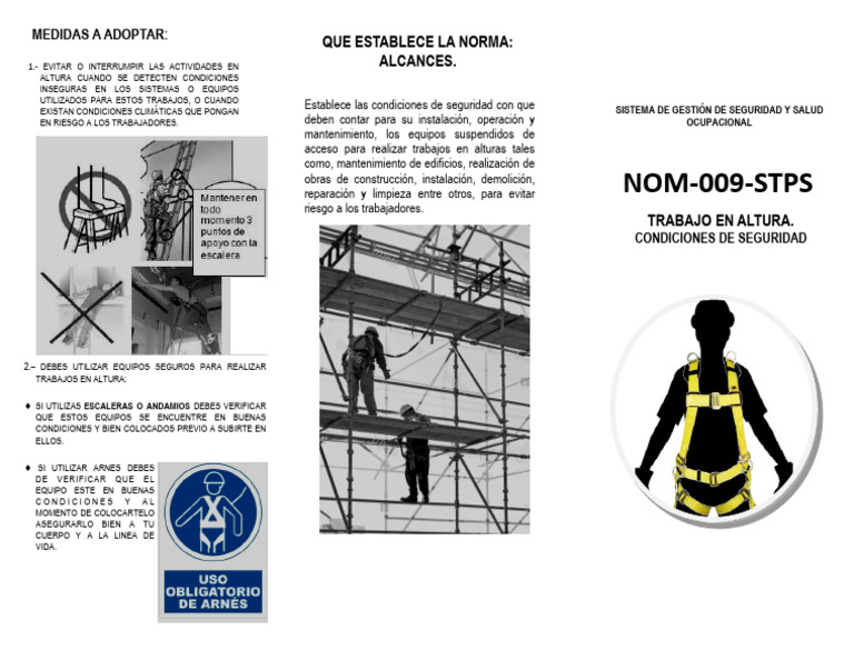 Triptico - Nom-009-Stps | PDF Triptico - Nom-009-Stps | PDF