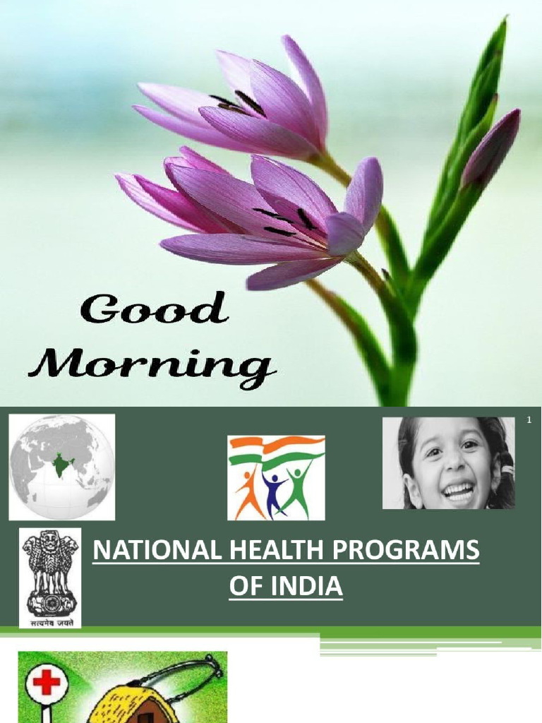 Overview of India's National Health Programs | PDF