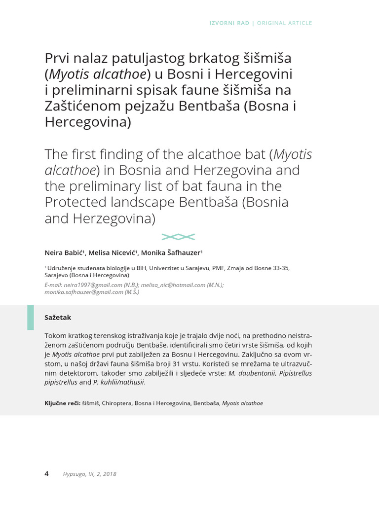 The First Finding of The Alcathoe Bat | PDF