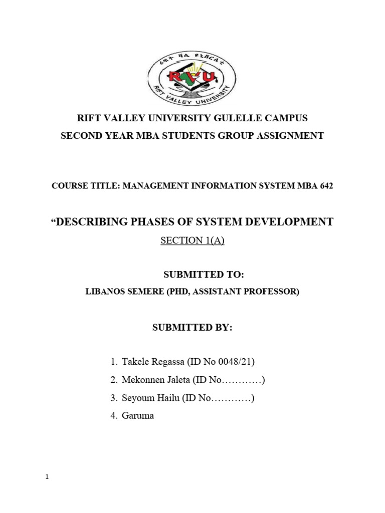 Group Assignment on Management Information Systems | PDF | Software Development Process | Agile ...