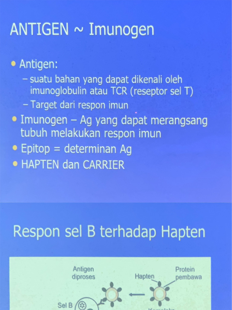 Antigen Dan Antibodi | PDF