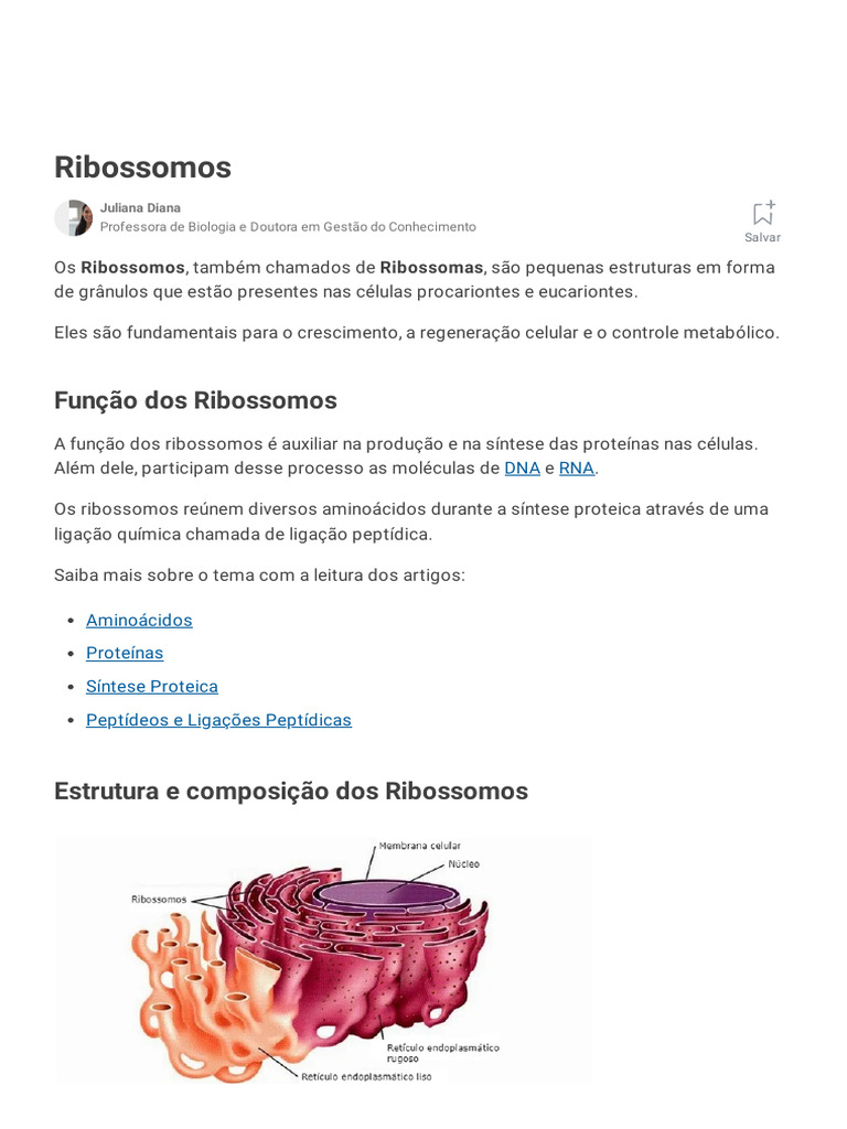 Ribossomos: Estrutura e Função | PDF | Ribossomo | Célula (Biologia)