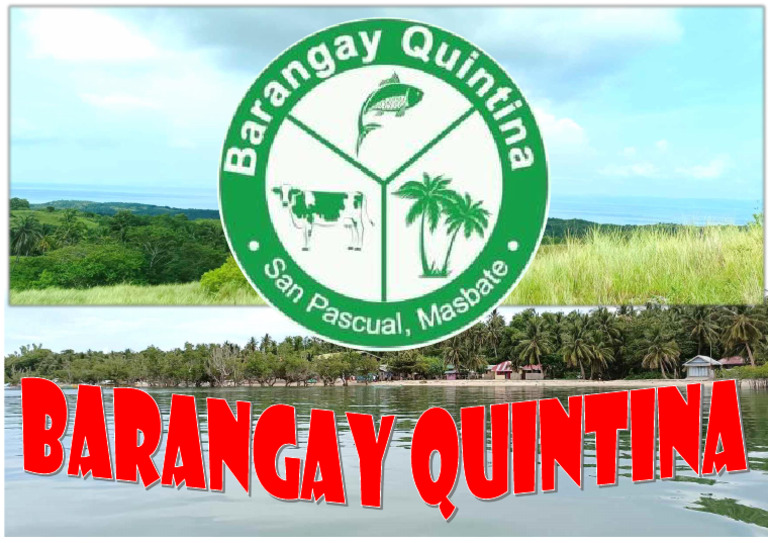 Barangay Banner | PDF