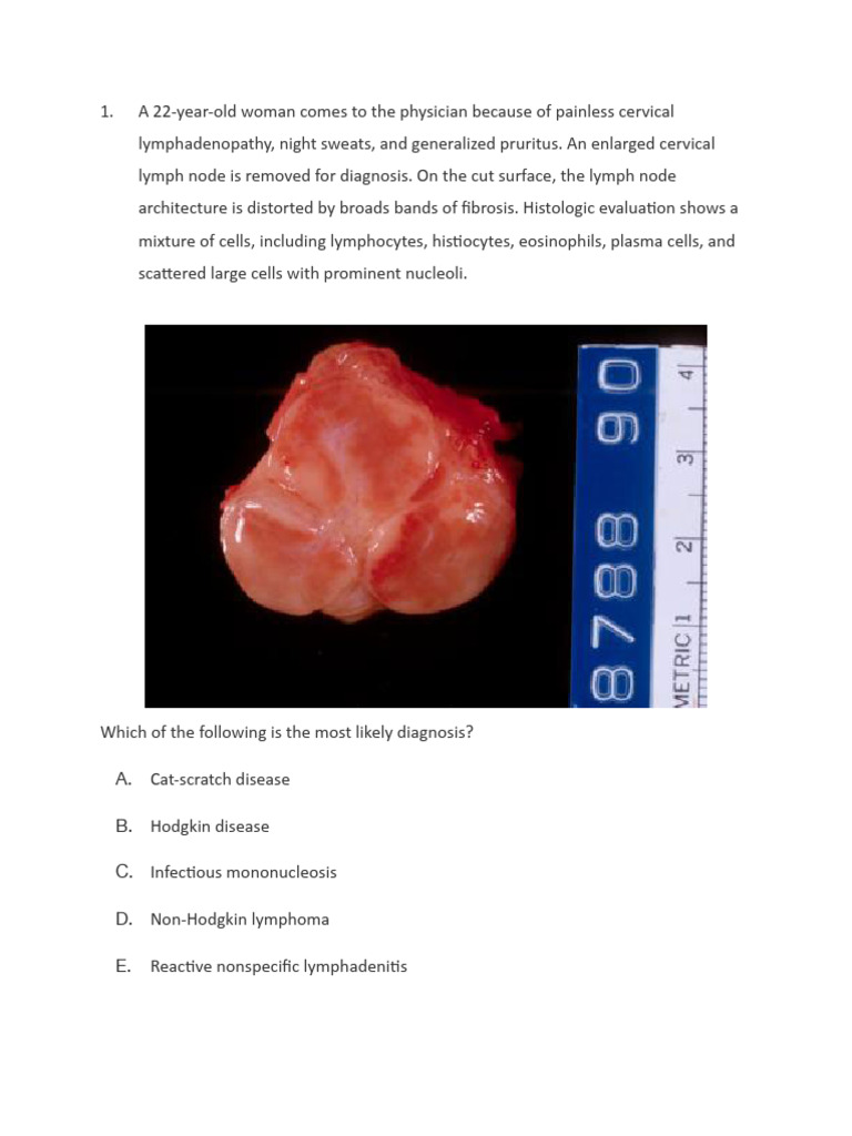 patho | PDF | Lymphatic System | Lymph Node
