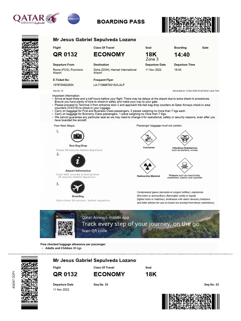 MR Jesus Gabriel Sepulveda Lozano 2 | PDF | Baggage | Airport
