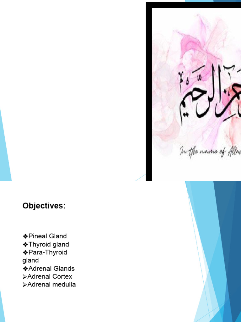 Ibrahim AP Presentation | PDF | Adrenal Gland | Human Anatomy