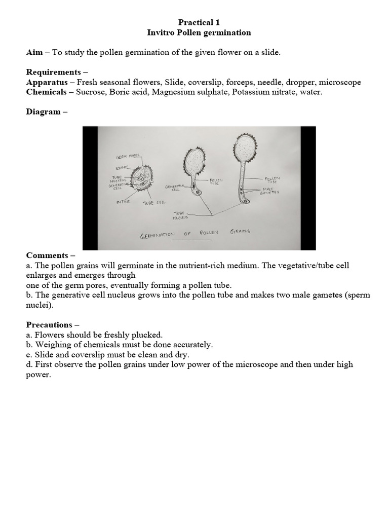 Practical 1, 2 n 3 | PDF | Flowers | Pollination