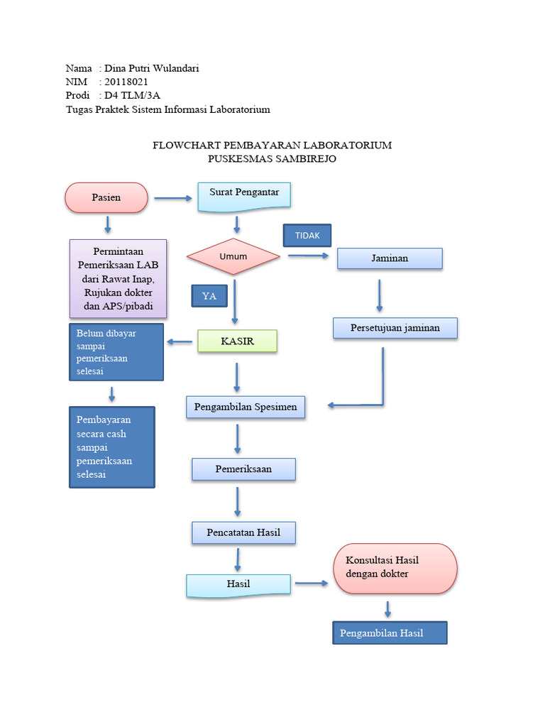 Dina Putri Wulandari, 20118021, Flow Chart Pembayaran | PDF
