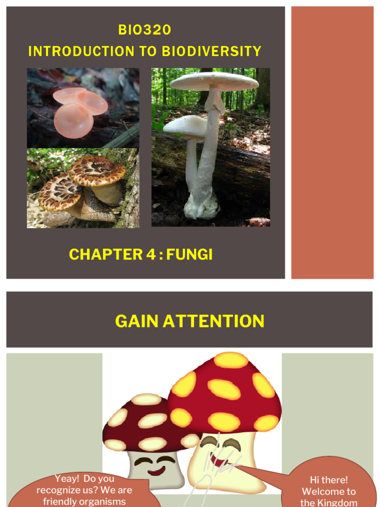 Chapter 5 Fungi Part 1 Pdf Fungus Sexual Reproduction