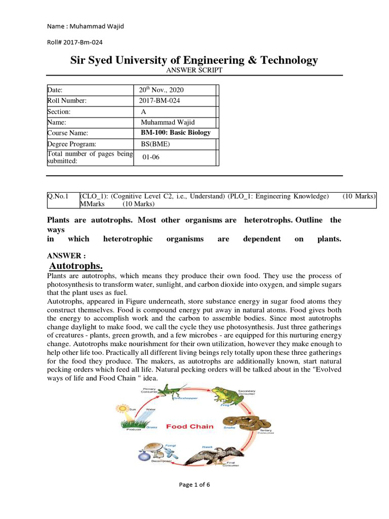 Template For Answer Script | PDF | Respiratory Diseases | Chronic ...