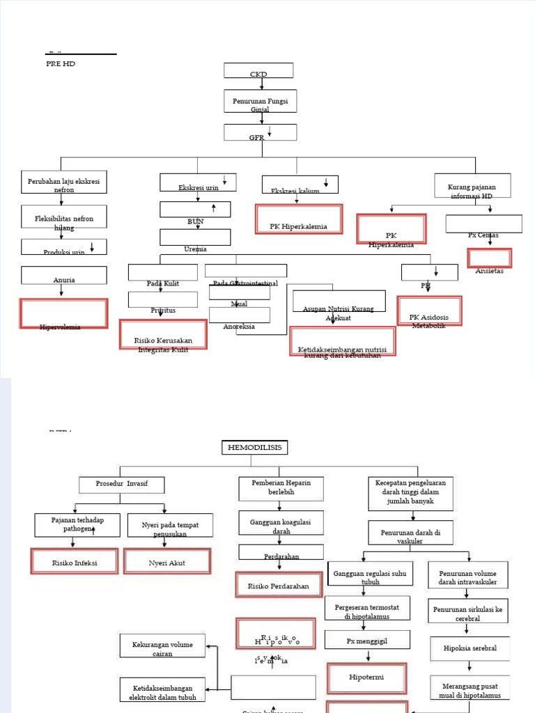 Pathway Penanganan CKD dan Hemodialisis | PDF