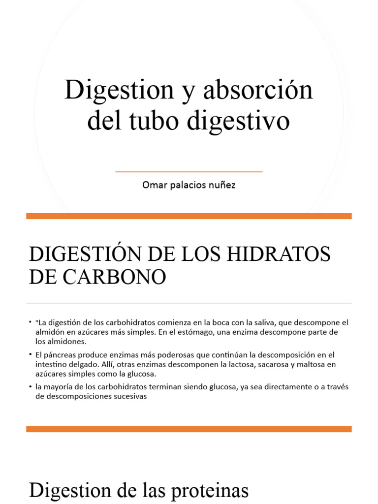 Digestión y Absorción de Nutrientes | PDF | Digestión | Bioquímica