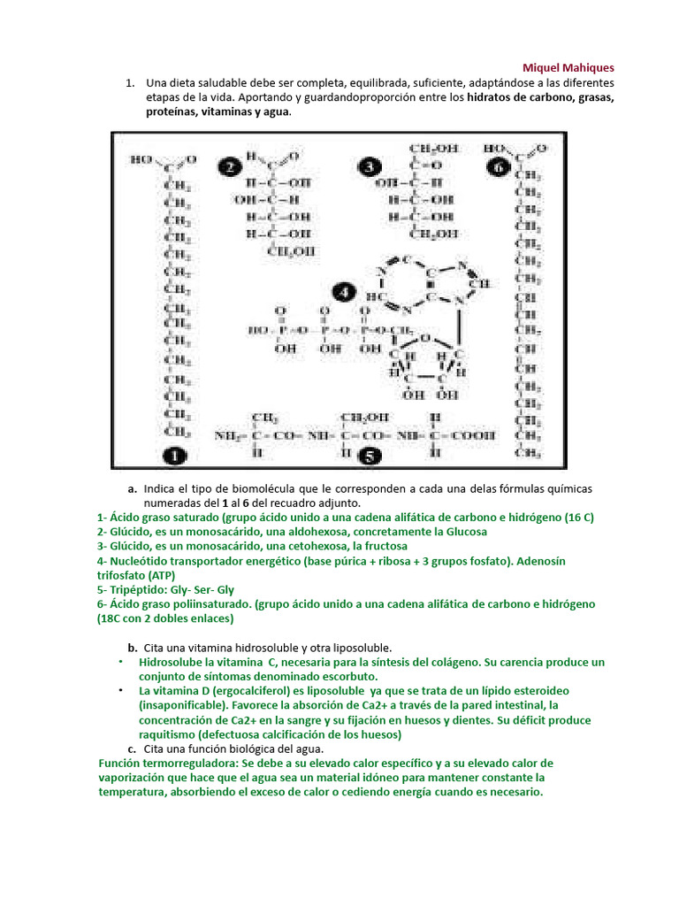 Ebau c2 Biomoleculas 20 21 Solucion 1 | PDF | Enzima | Ácidos nucleicos