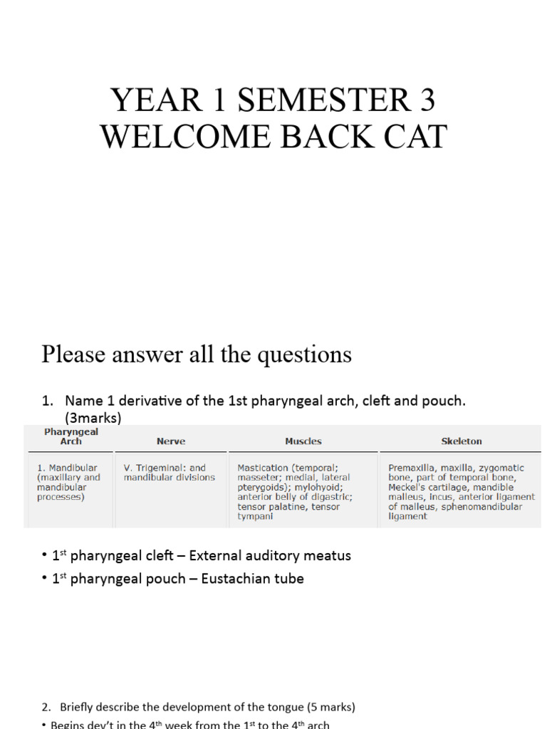 Year 1 Semester 3 Welcome Back Cat | Download Free PDF | Tongue | Human ...
