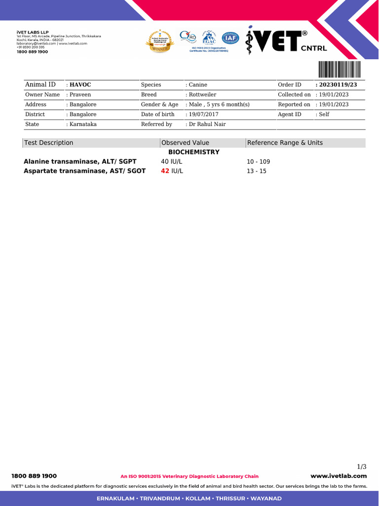 23 Report | PDF | Polymerase Chain Reaction | Gel Electrophoresis