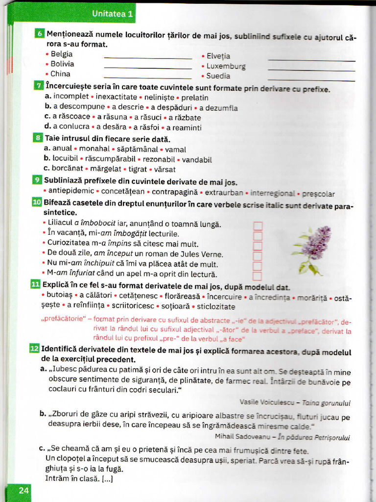 Derivare | PDF