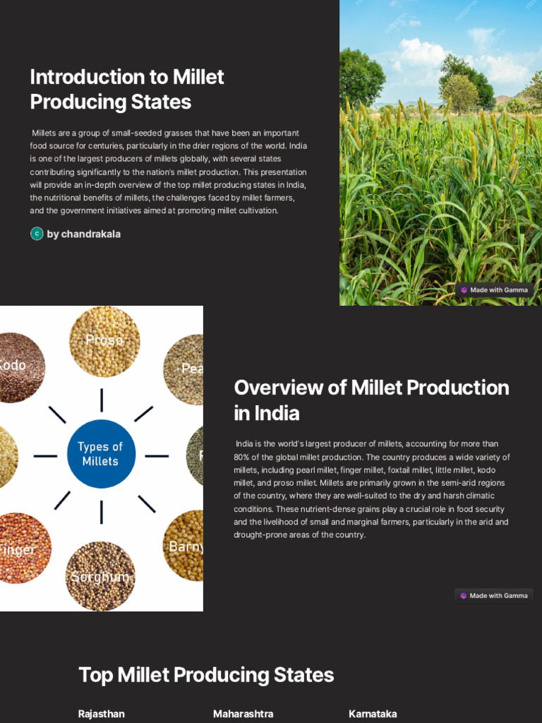 Millet | PDF | Agriculture | Crops