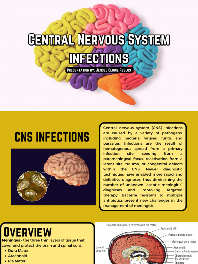 Central Nervous System Infections | PDF | Meningitis | Cerebrospinal Fluid