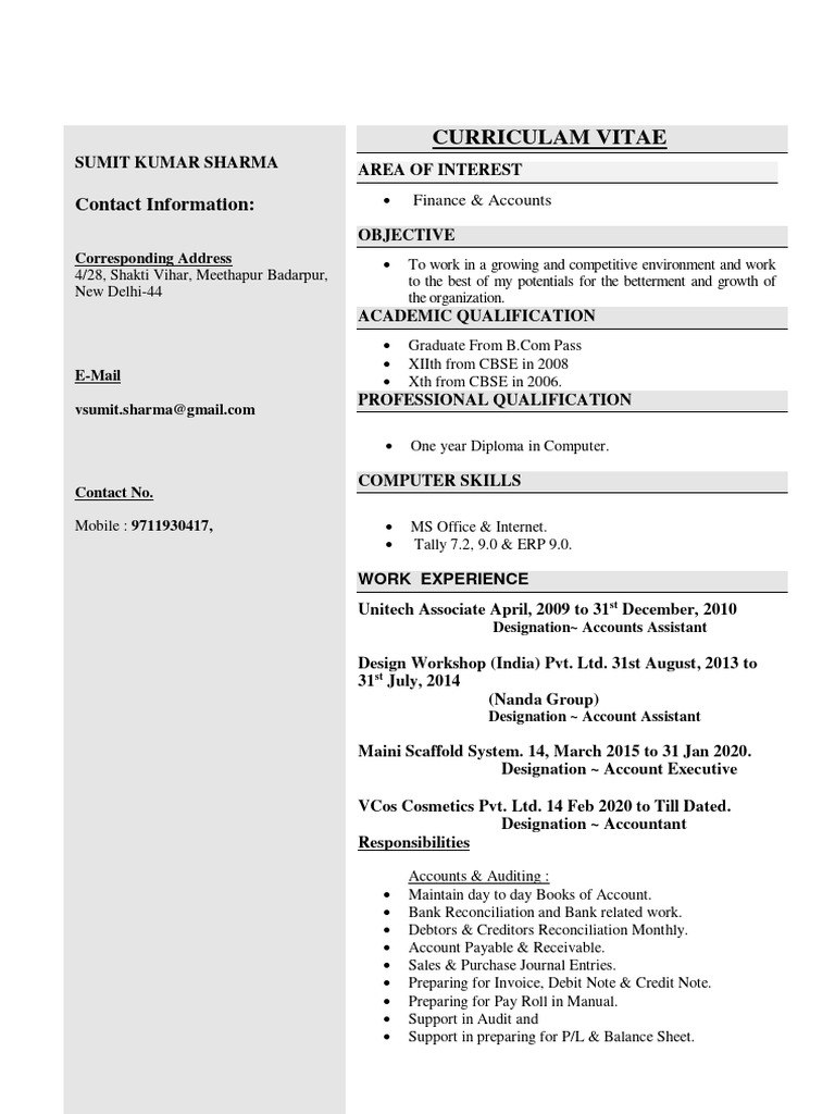 Sumit CV | PDF | Accounting | Financial Services