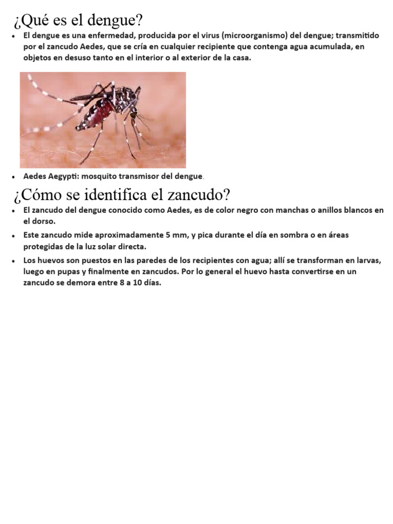 Qué es el dengue | PDF | Medicina CLINICA | Especialidades Medicas