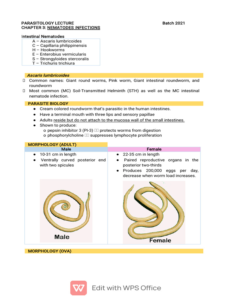 _Intestinal and Tissue Nematodes | PDF | Diseases And Disorders ...