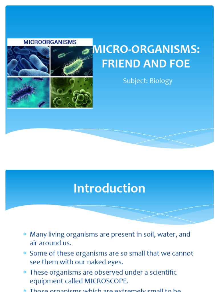 Micro-organisms: Benefits and Risks | PDF | Microorganism | Bacteria