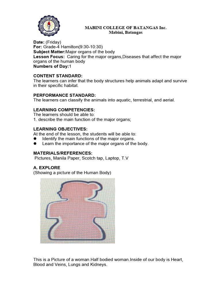Major Organs of the Human Body Lesson | PDF | Human Body | Blood