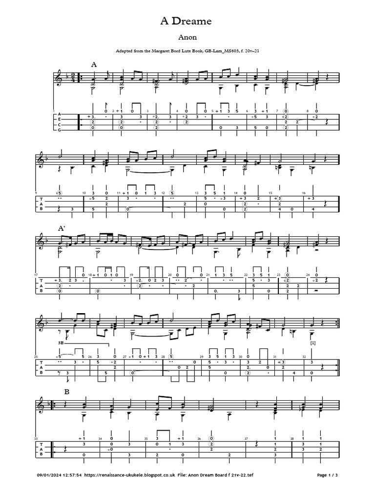 Anon Dream Board Transcription Guide | PDF | Musicology | Necked Lutes