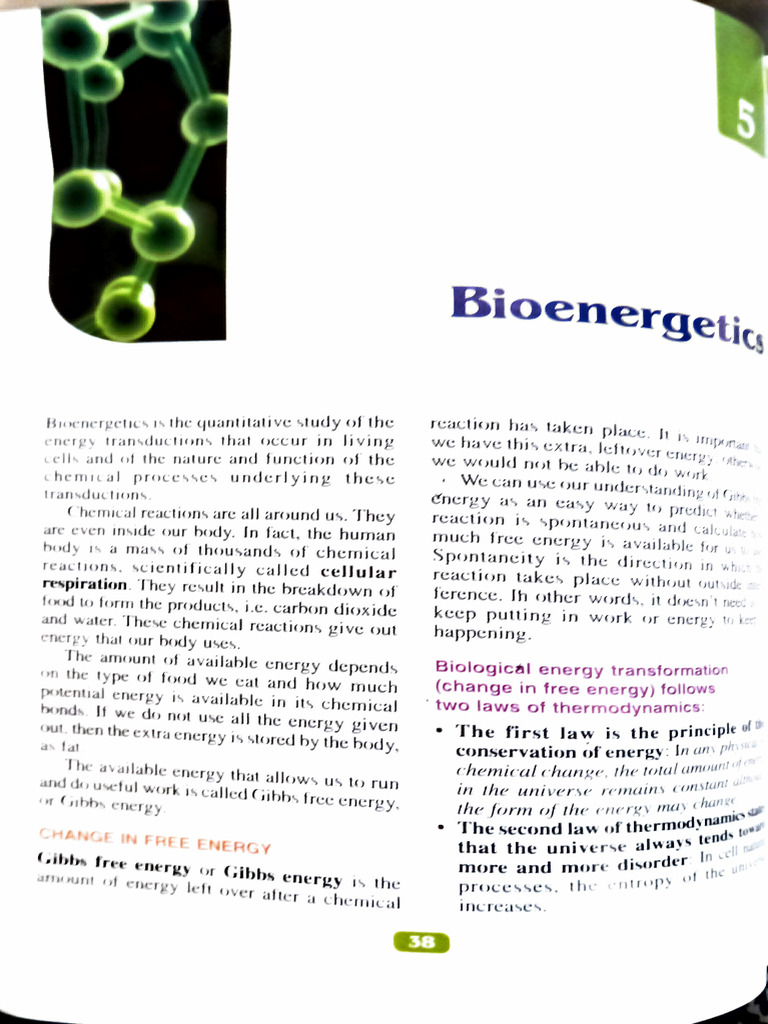 Bioenergetics & Energy Rich Compounds | PDF | Redox | Gibbs Free Energy