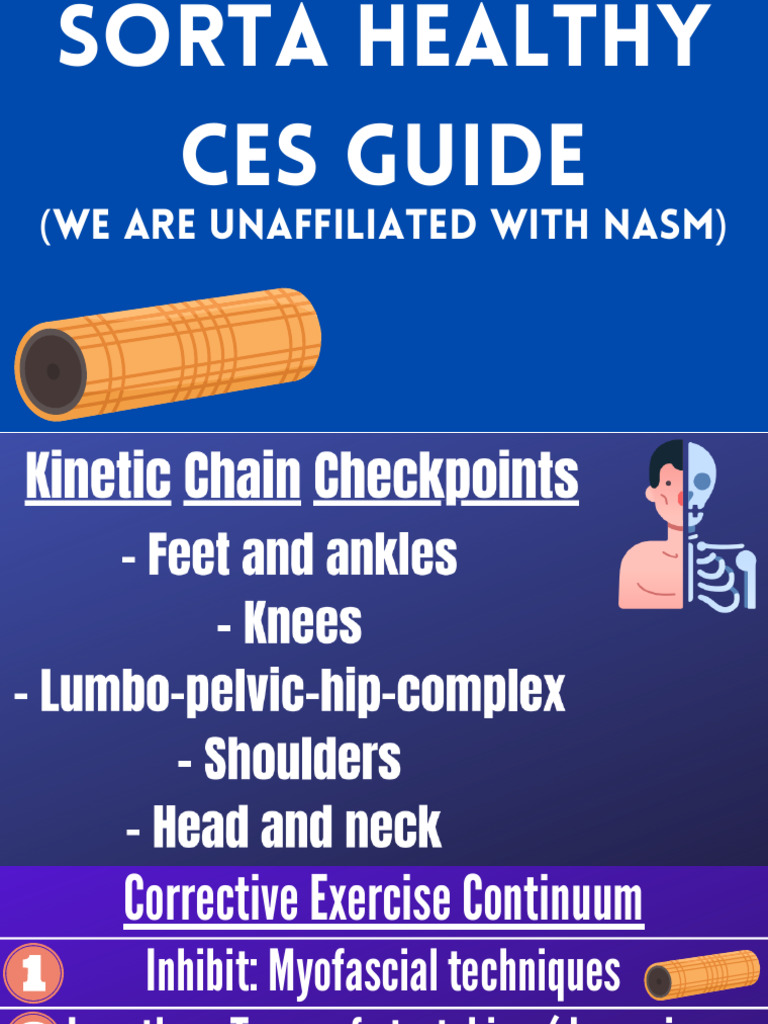 Ces Brilliant Guide | PDF | Pelvis | Nervous System