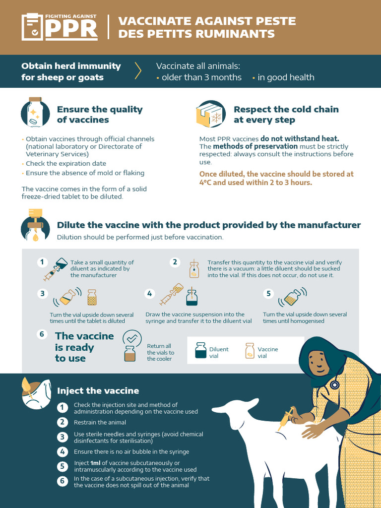 Infographic To Vaccinate Against Peste Des Petits Ruminants | PDF ...