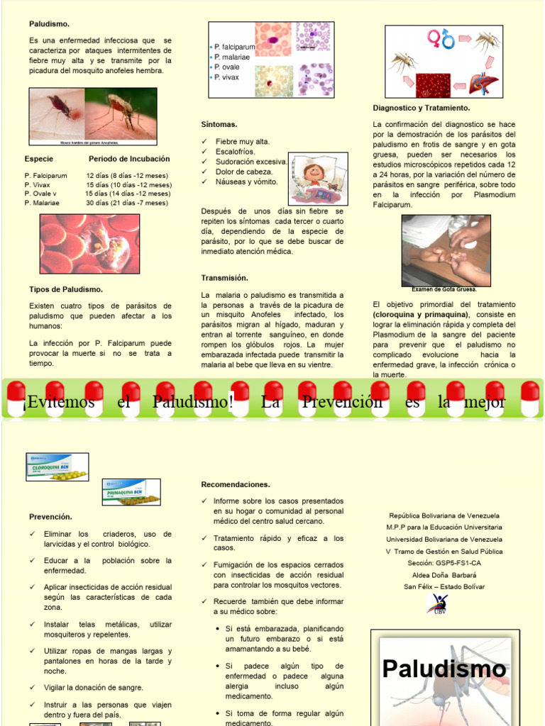 Triptico Paludismo | PDF | Malaria | Ciencias de la Salud