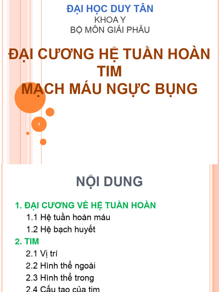 He Tuan Hoan - Tim | PDF