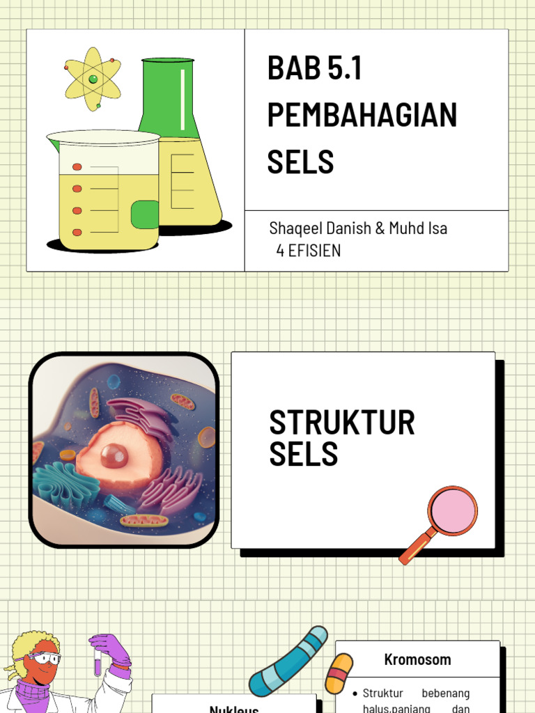 Form 4 Bab 5.1 Pembahagian Sels | PDF