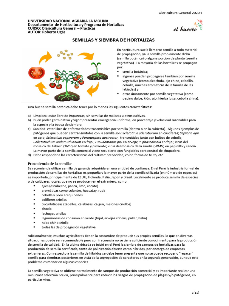 Semillas y Siembra de Hortalizas | PDF | Siembra | Agricultura