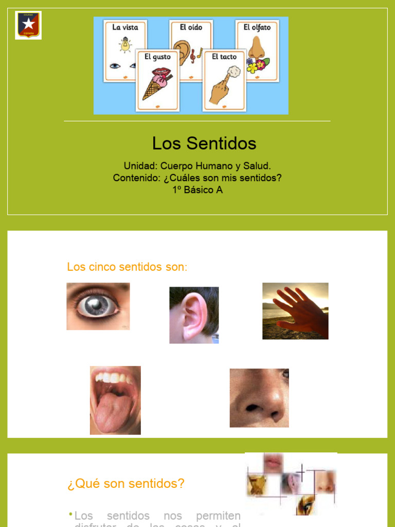 Apunte Los Sentidos | PDF | Escuchando | Sentidos