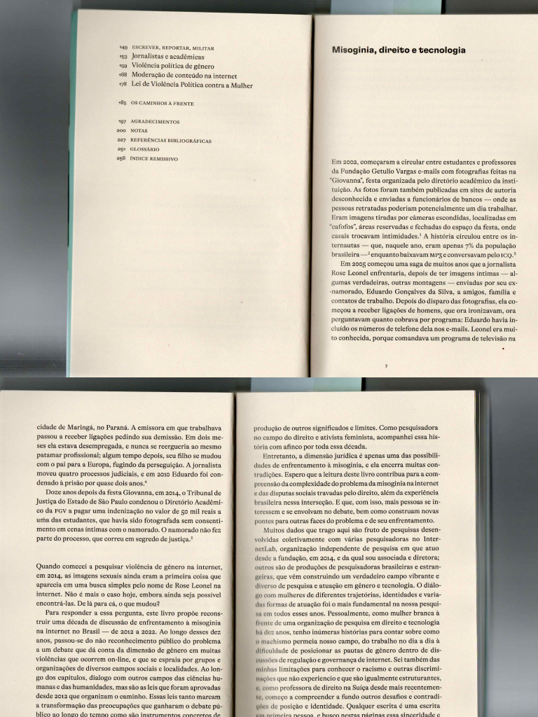 VALENTE, MARIANA_Misoginia Na Internet CAP 1 | PDF