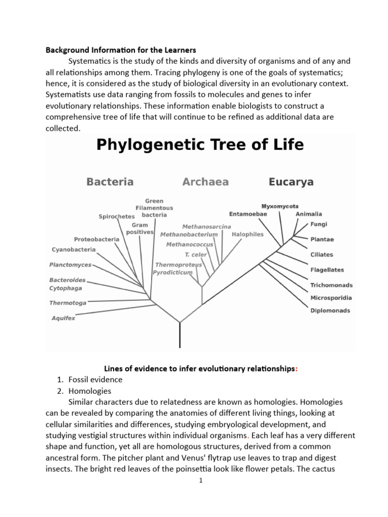 General Biology 2 QTR 3 Week 5 A4 Taxonomy | PDF | Taxonomy (Biology ...