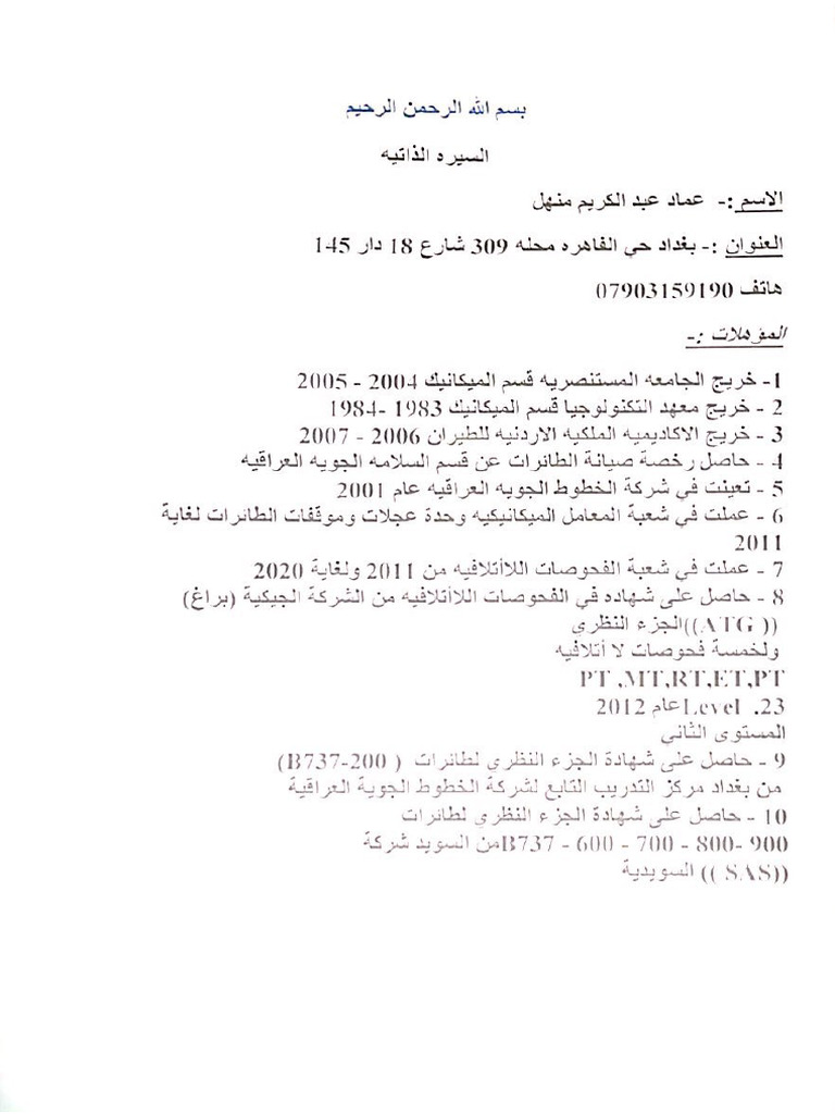 Emad CV | PDF