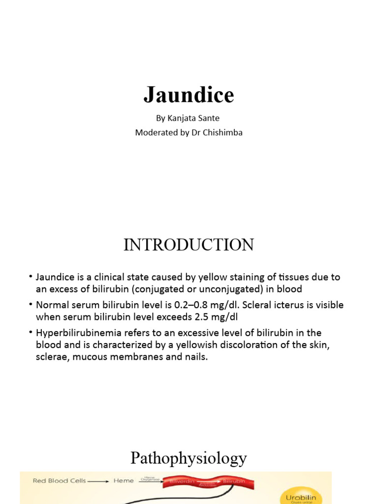 Jaundice | PDF | Diseases And Disorders | Medical Specialties